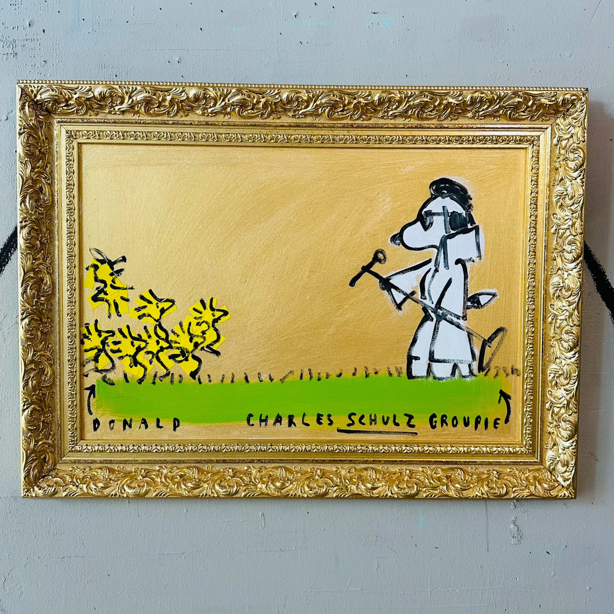 Charles Schulz Groupie – donald drawbertson